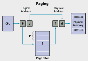 Paging vs Segmentation: Core Differences Explained | ESF