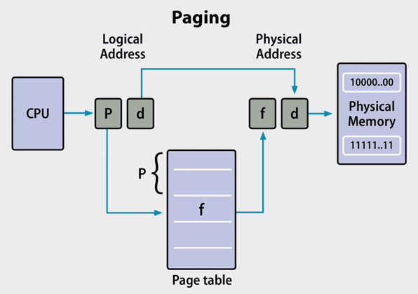 Paging vs Segmentation: Core Differences Explained | ESF