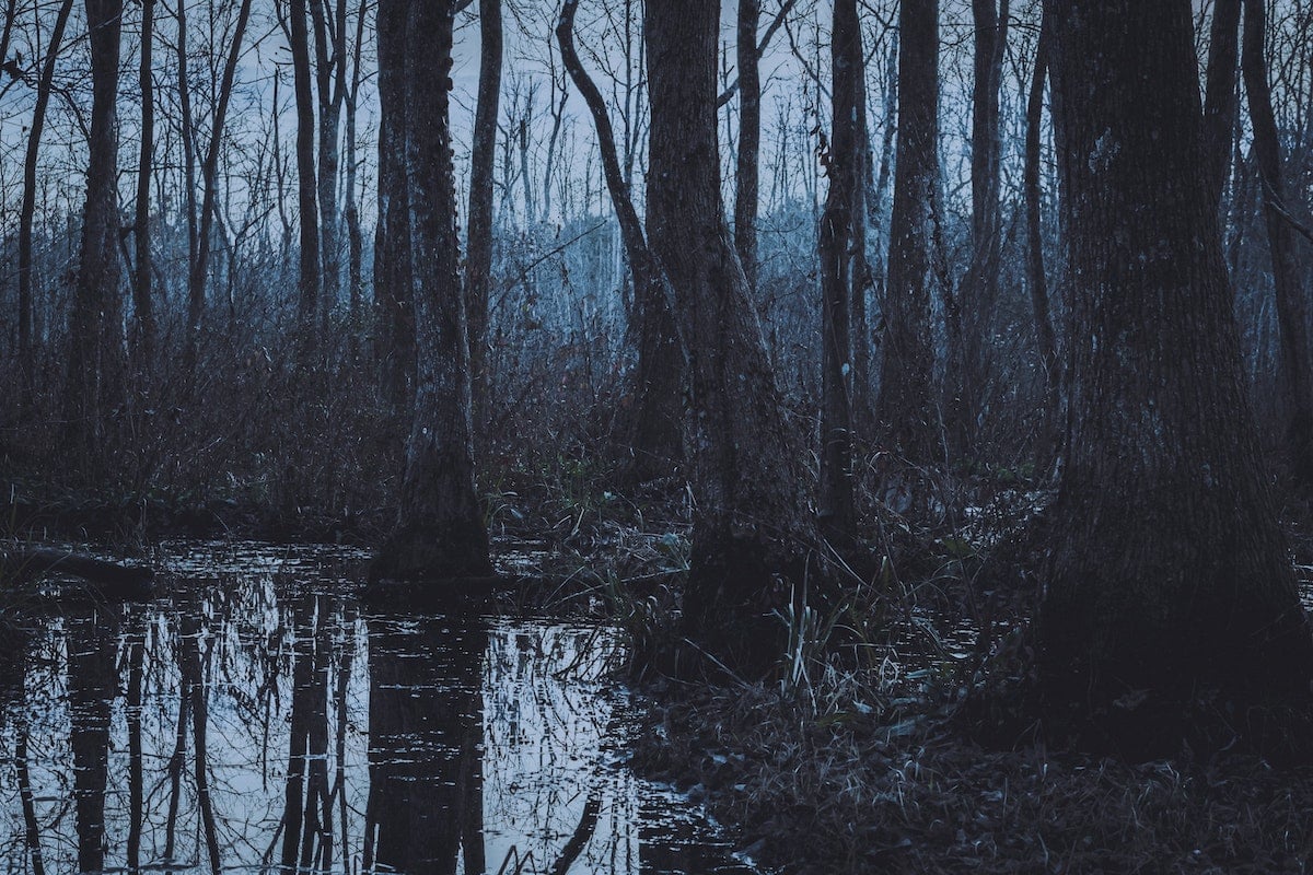 Data Lake vs. Data Swamp | ESF